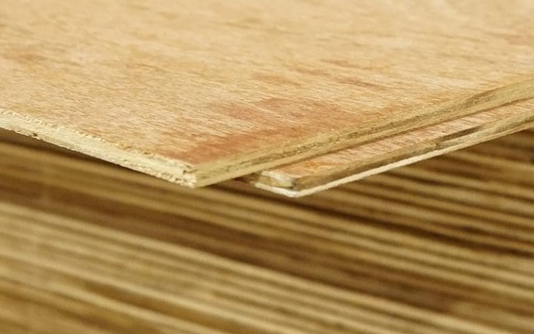 Luan Wood 101: Everything You Need to Know About