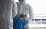 Best Time to Apply 2-4-D | Read BEFORE You Spray!
