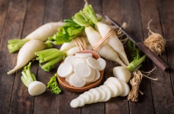 The 7 Main Types of Radishes in 2026