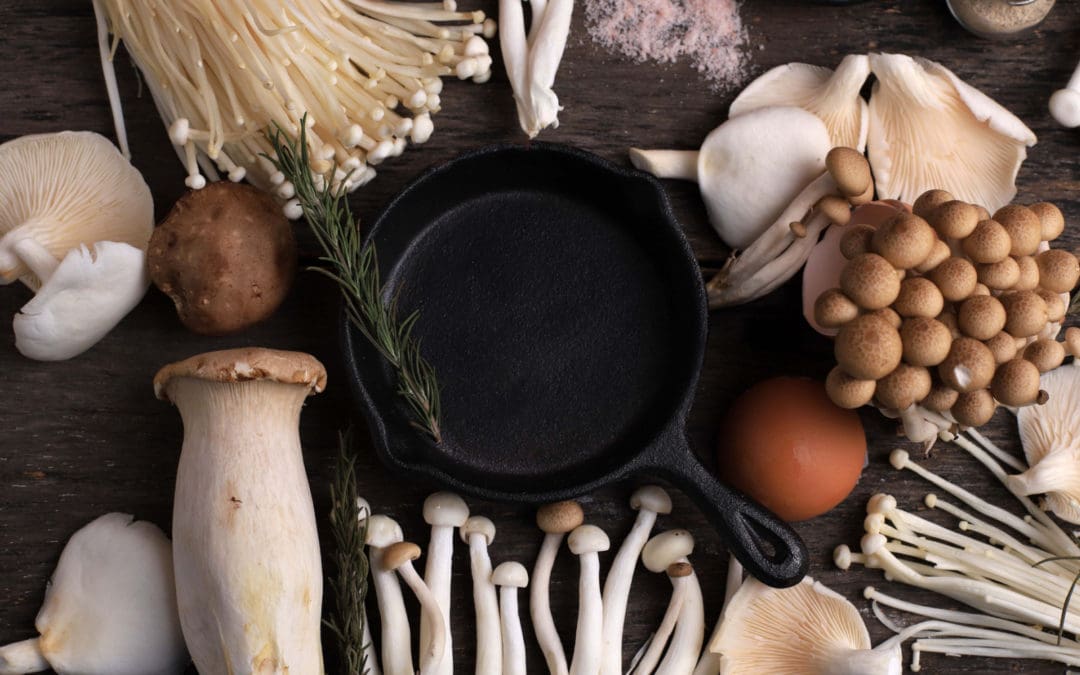 14 Common Types of Mushrooms in 2023