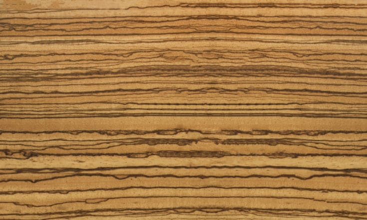 The 15 Main Types of Wood Grain Patterns in 2026 | REthority
