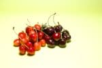 13 Main Types of Cherries to Know About in 2026