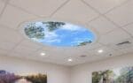 Basement Ceiling Ideas: 15 Ideas To Transform Your Space